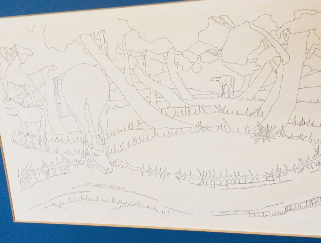 See the Fish? Mindfulness Relaxing Calm Stressless Adult Zen Doodle Art ...