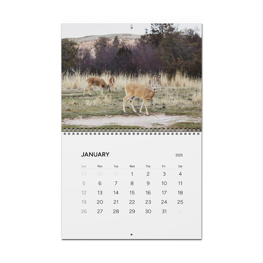 Wildlife Wall Calendars 2025, Nature Photography Calendar, Animal ...