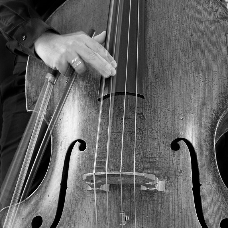 Double Bass - Etsy