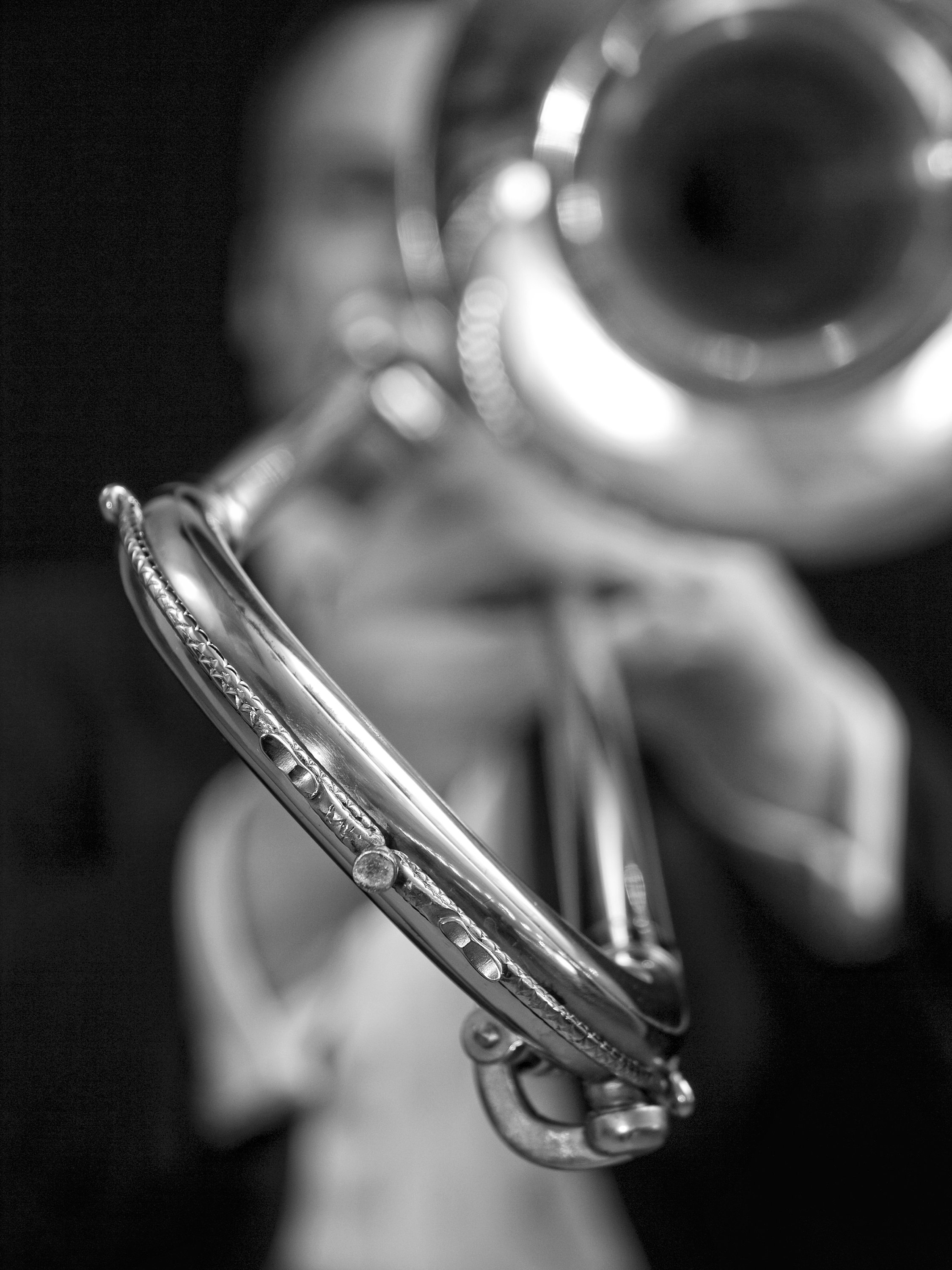 Trombone -- Photo, Digital Download - Etsy
