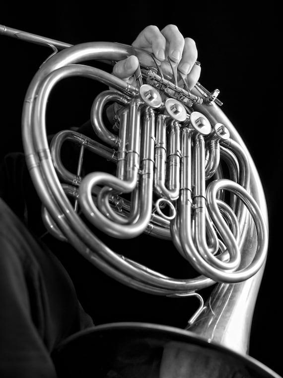French Horn Photography