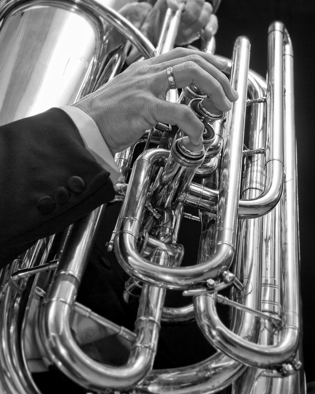 Tuba -- Photo, Digital Download - Etsy