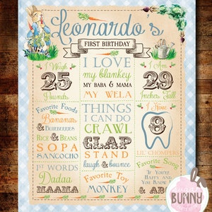 DIGITAL Printable Peter Rabbit Birthday Board - Etsy
