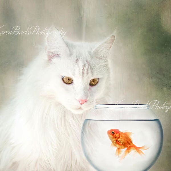 Cat and Fishbowl - Etsy