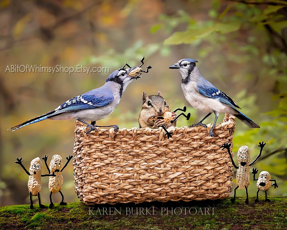 Funny Blue Jays