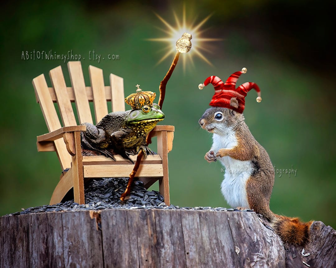 Court Jester, Red Squirrel, Photography Print, Frog Prince, Frog King ...