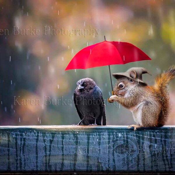 Whimsical Animal Art - Etsy