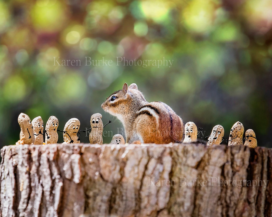 Funny Chipmunk Print, Chipmunk Lover Art, Animated Peanuts, LOL Art Print, Man Cave Art ...