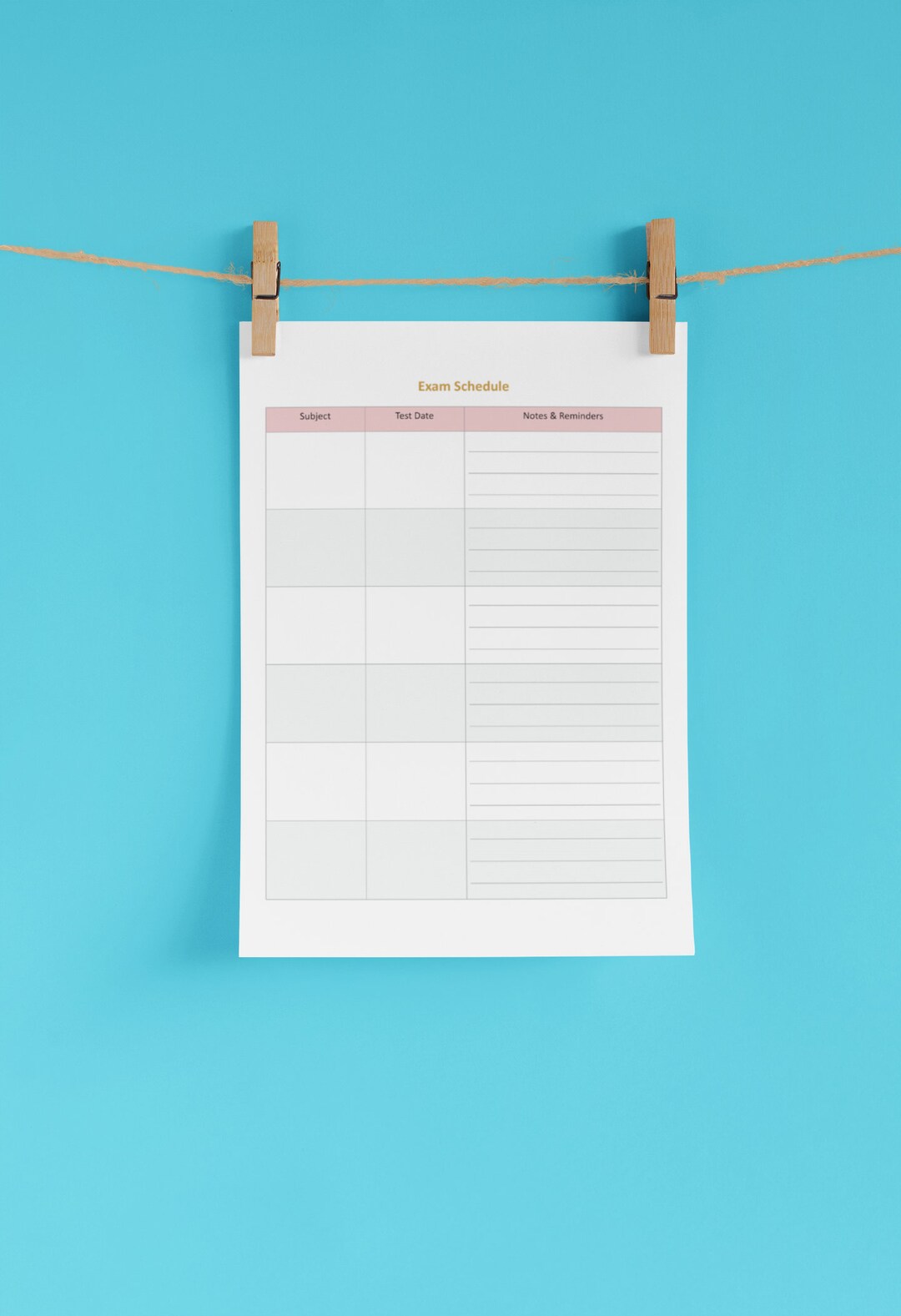 Exam Schedule, Printable Study Planner, Print at Home Study Plan ...