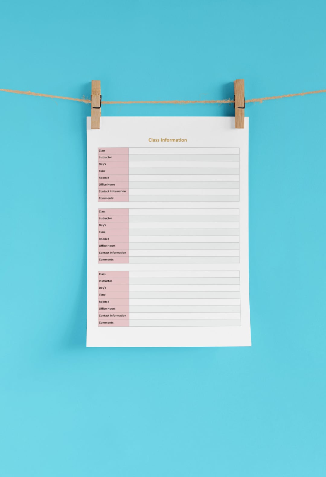 Class Information, Student Planner, Academic Planner Printable, College ...