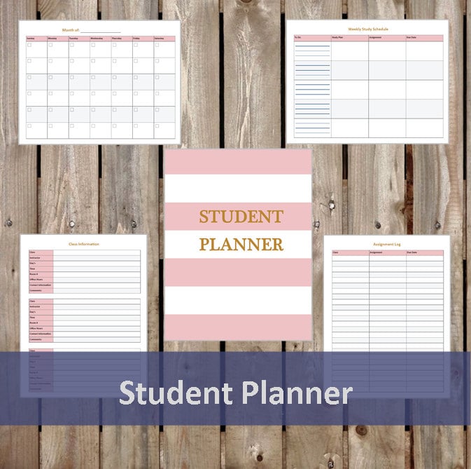 Study Schedule, Printable Study Planner, Print at Home Study Plan ...
