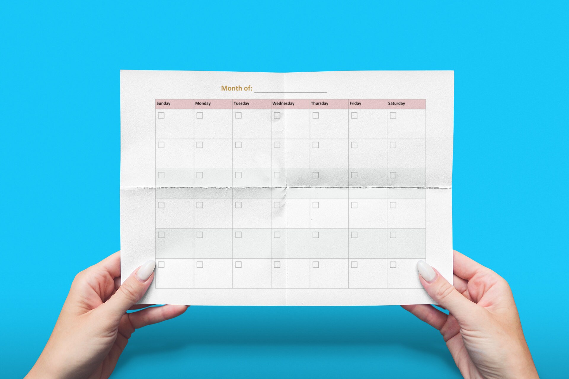 Blank Monthly Calendar - Student Planner - Printable/editable PDF ...