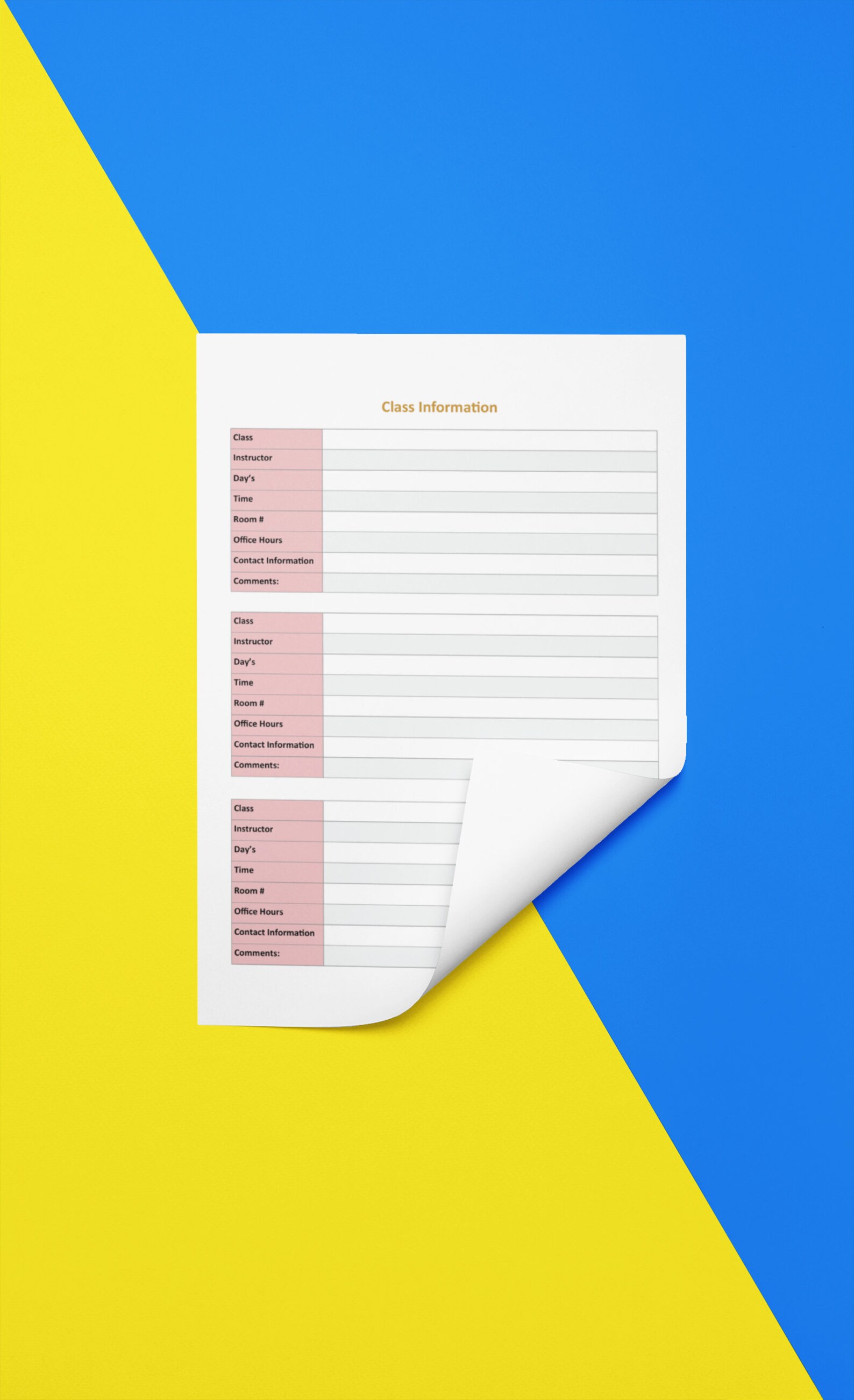 Class Information, Student Planner, Academic Planner Printable, College ...