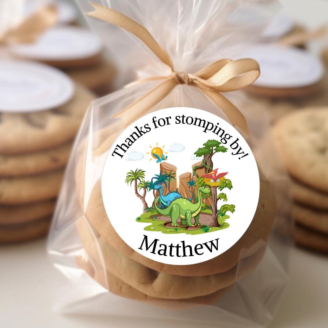 Kids Dinosaur Birthday Thank You Sticker Label-dinosaur Theme Birthday ...