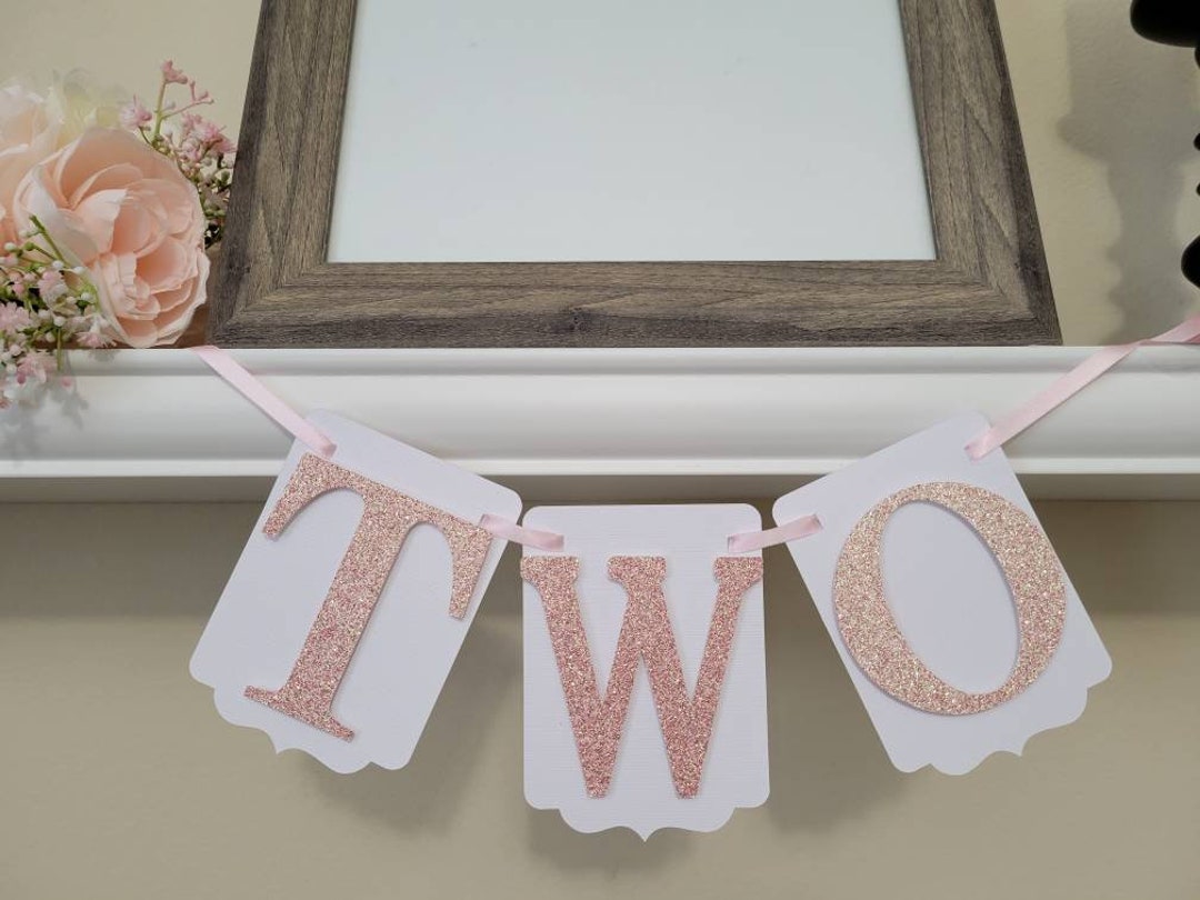 Two Girl Banner-two Banner-two Birthday Girl Banner-2nd Birthday Banner ...