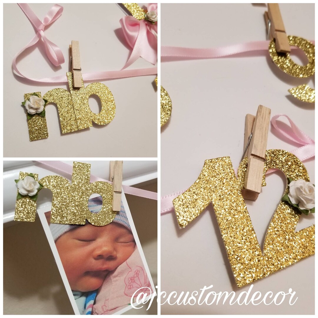 First Year Photo Girl Banner-pink Gold Girl Photo Banner-year Photo ...