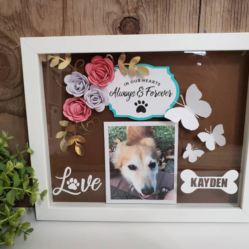 Pet Memorial Shadow Box - Etsy