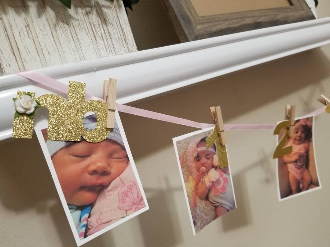 Baby Girl Monthly Banner-girl First Year Banner-newborn Monthly Banner ...