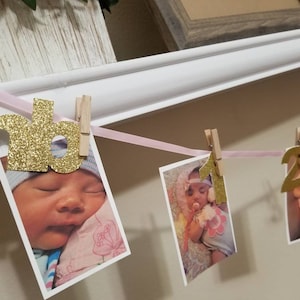 Baby Girl Monthly Banner-girl First Year Banner-newborn Monthly Banner ...