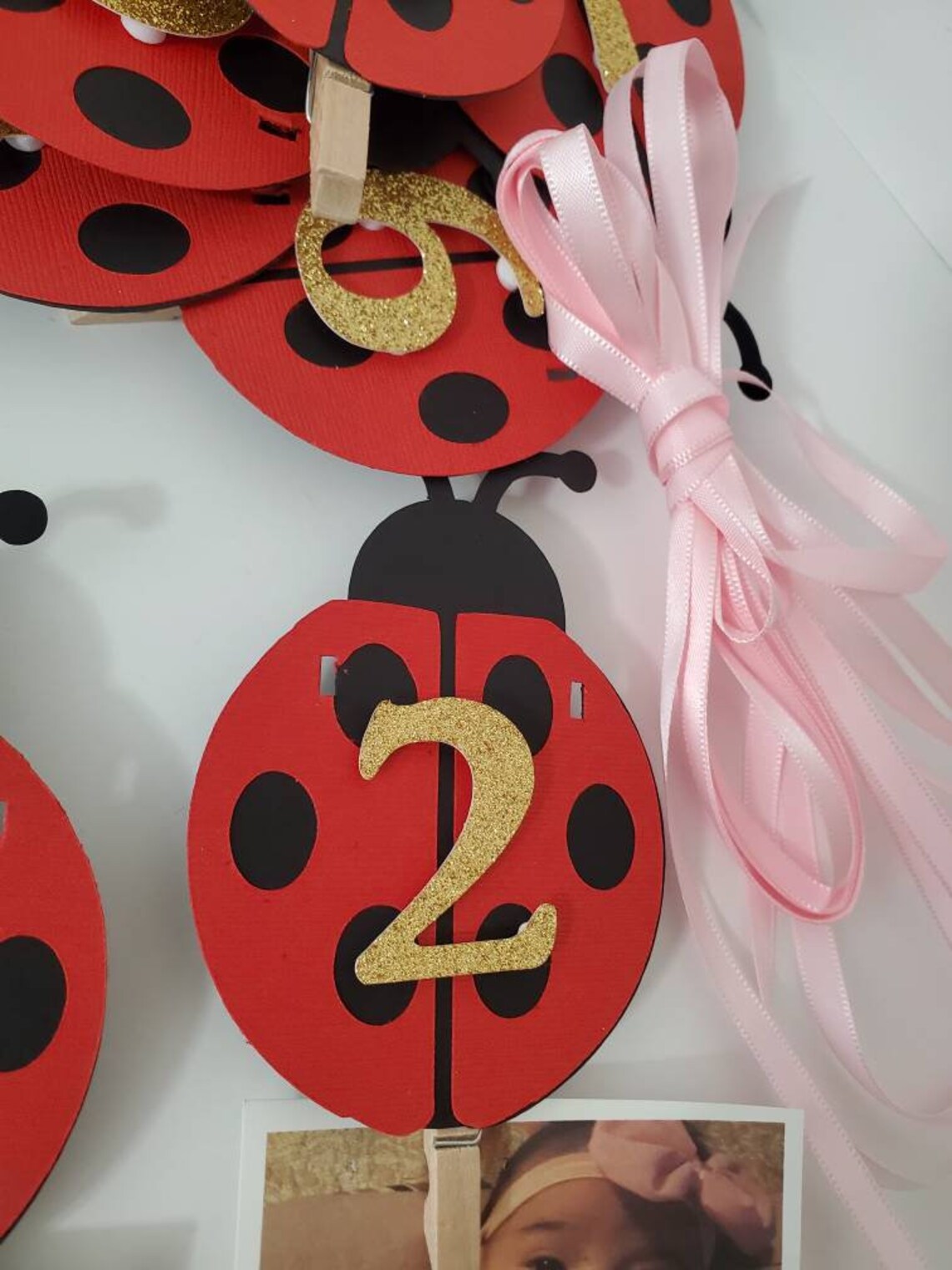 Lady Bug Milestone Banner-ladybug Milestone Banner-lady Bug | Etsy