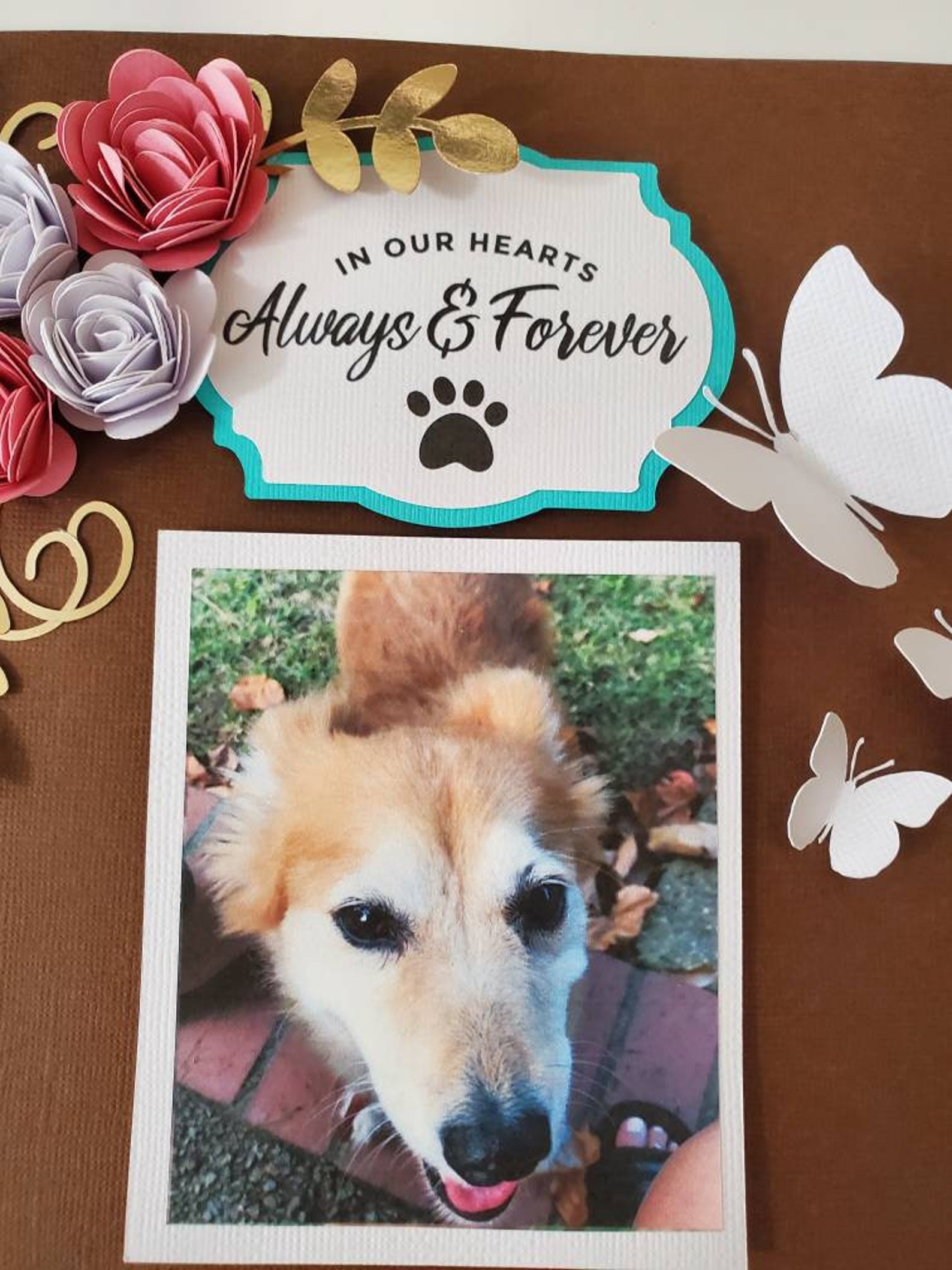 Pet photo flower memorial shadow box-Dog photo shadow box-Pet | Etsy