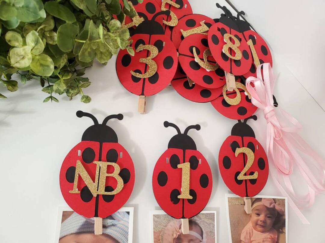 Lady Bug Milestone Banner-ladybug Milestone Banner-lady Bug Theme 1st ...