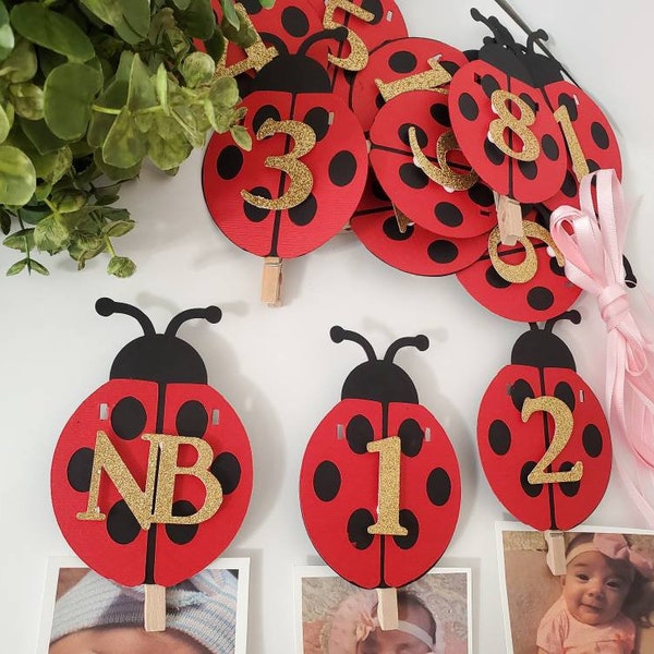Ladybug Banner - Etsy