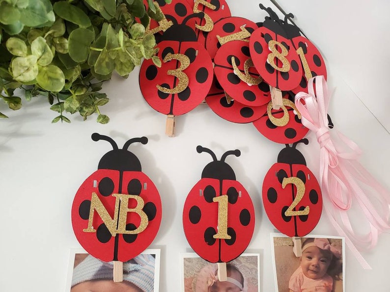 Lady Bug Milestone Banner-ladybug Milestone Banner-lady Bug | Etsy