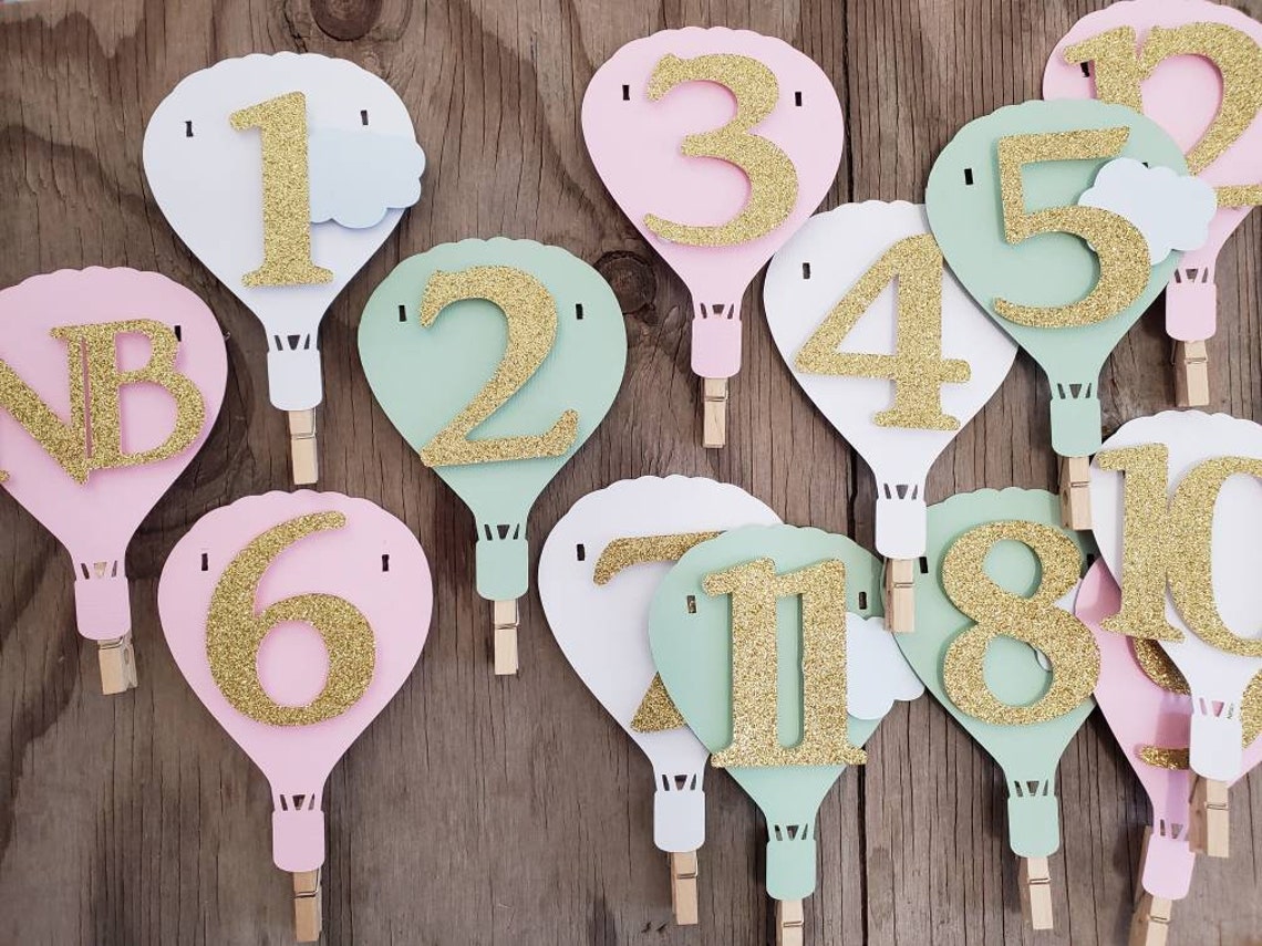 Newborn Hot Air Balloon Milestone Banner-hot Air Balloon - Etsy