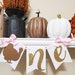 One Little Turkey Girl Banner-girl Turkey One Banner-one - Etsy