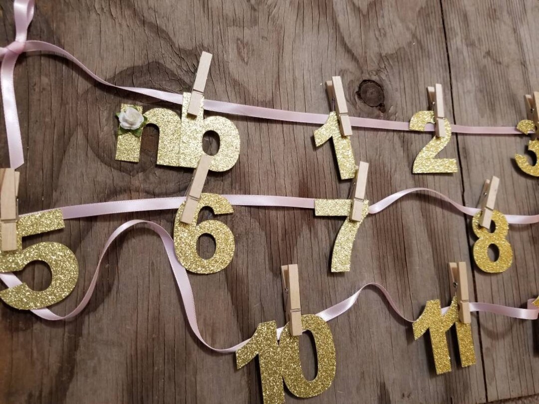 First Year Photo Girl Banner-pink Gold Girl Photo Banner-year Photo ...