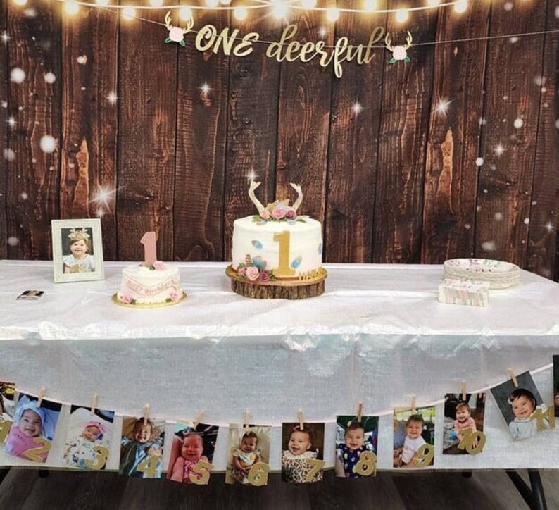 First Year Photo Girl Banner-pink Gold Girl Photo Banner-year Photo ...