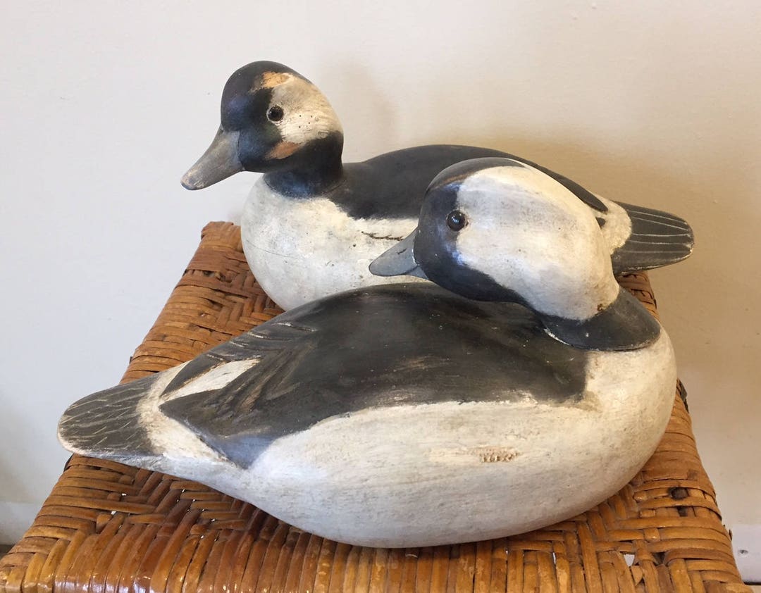 Bufflehead Duck Pair Decorative Decoys in Antiqued Finish - Etsy