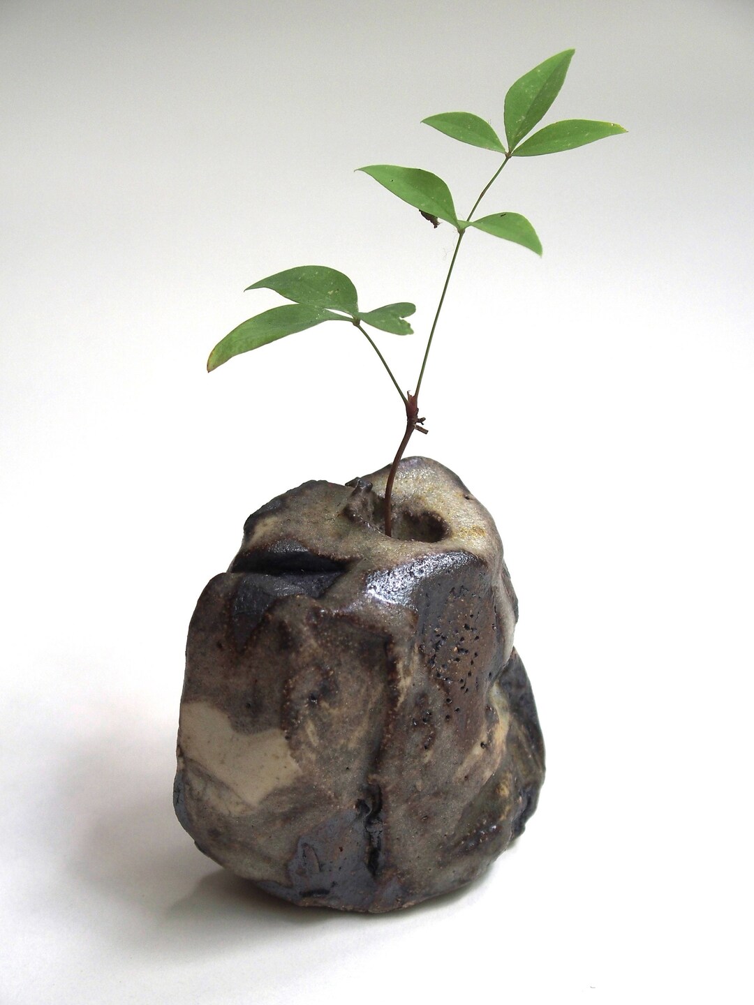 Mini Rock Vase Metamorphic Like Rock Formation Dark and - Etsy