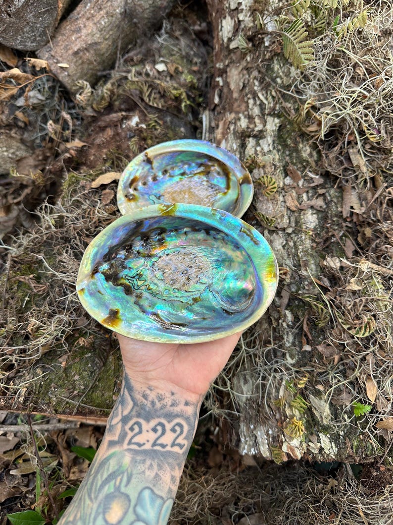 Abalone Shell // Smudging + Alter Tool - Etsy
