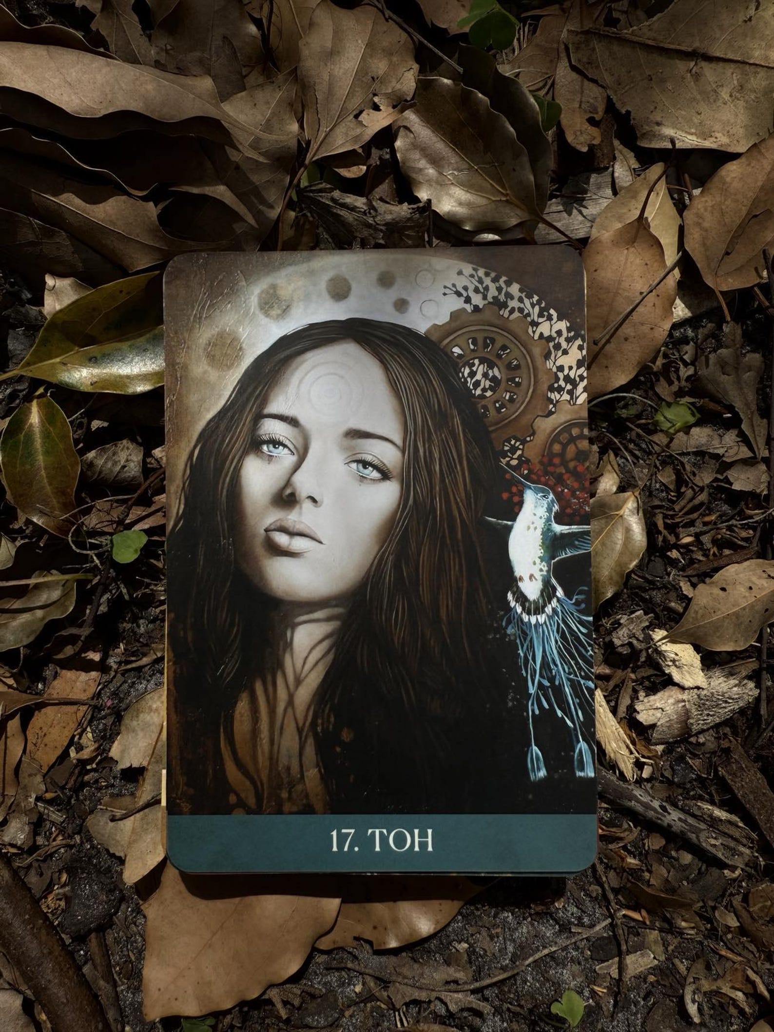 Medicine Heart Oracle // Shamanic Wisdom of the Divine Feminine ...