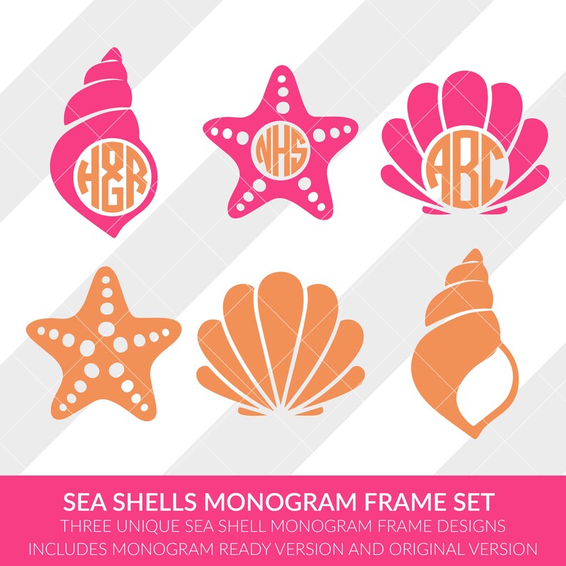 Seashell Monogram Frames svg eps dxf studio3 png jpg | Etsy