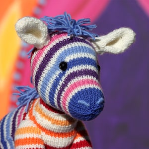 Rainbow Zebra NORA Knitting Pattern - Etsy