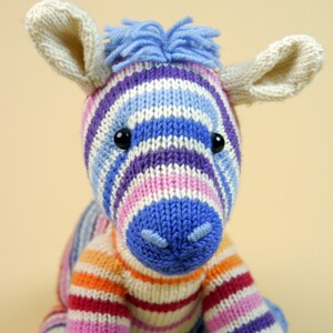 Rainbow Zebra NORA Knitting Pattern - Etsy