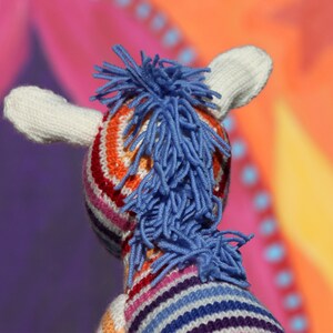 Rainbow Zebra NORA Knitting Pattern - Etsy
