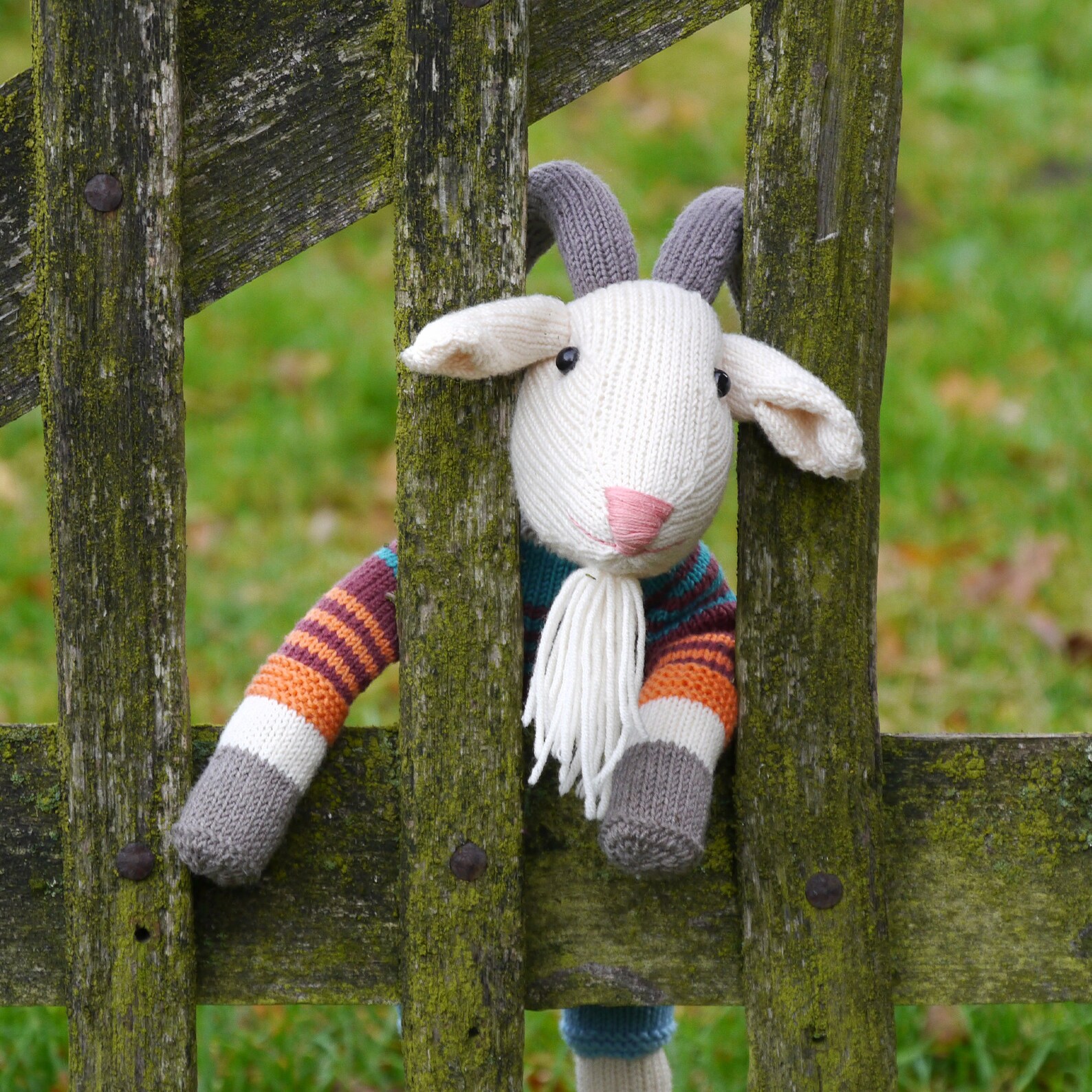 ERICH THE GOAT Knitting Pattern - Etsy Canada