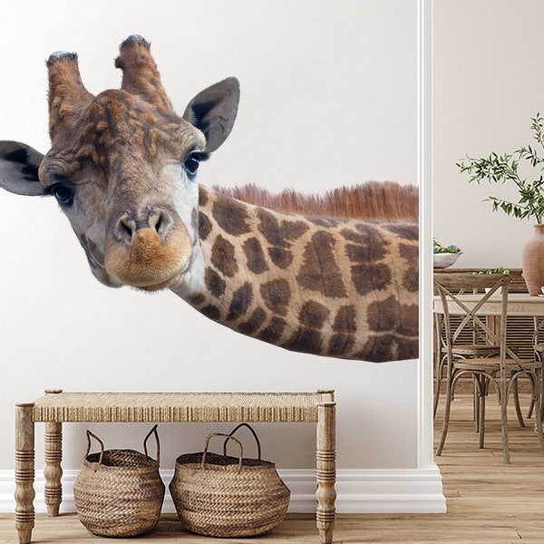 Baby Giraffe Decals - Etsy