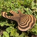 Pachyderm Bass Illusion Wood Magnet: Les Claypool Inspired Art - Etsy