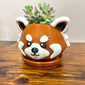 Red Panda Planter, Panda Gifts, Red Panda Pot, Animal Lover, Mothers ...