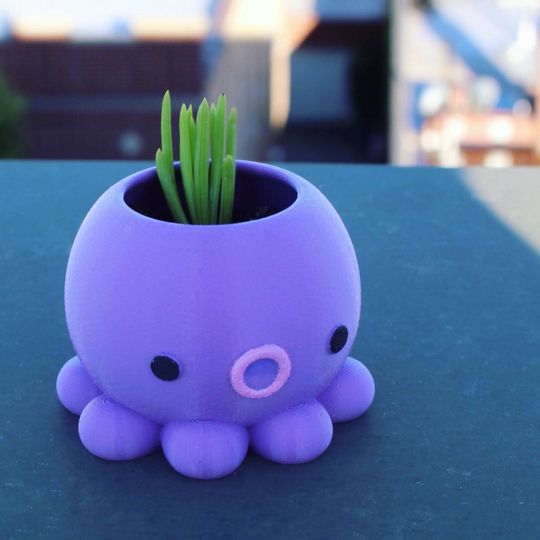 Octopus Planter, Animal Planter, Office Decor, Desk Decor, Plant Dad ...