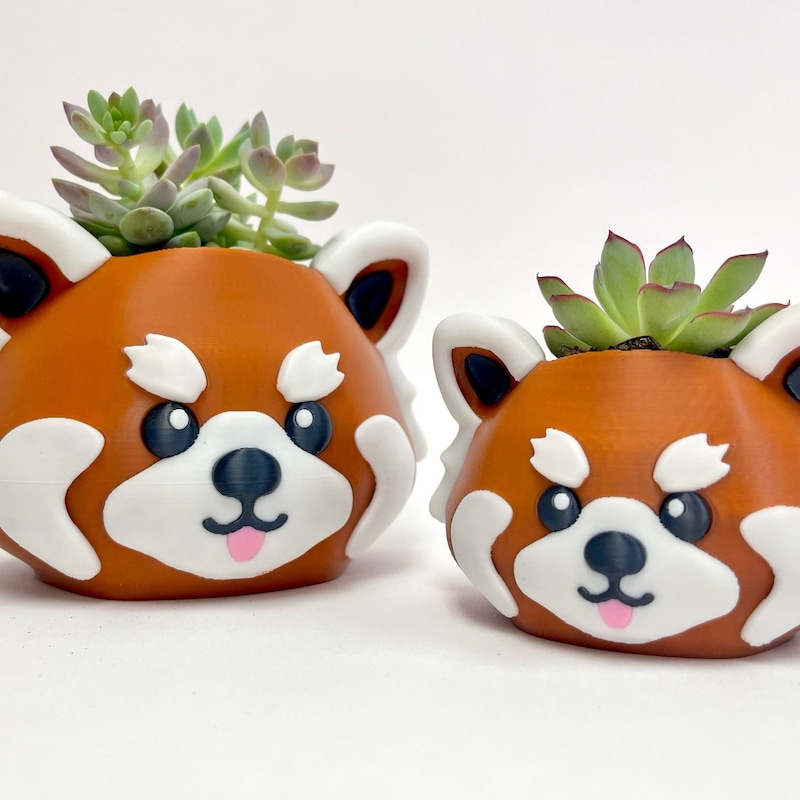 Panda Gifts - 60+ Gift Ideas for 2025