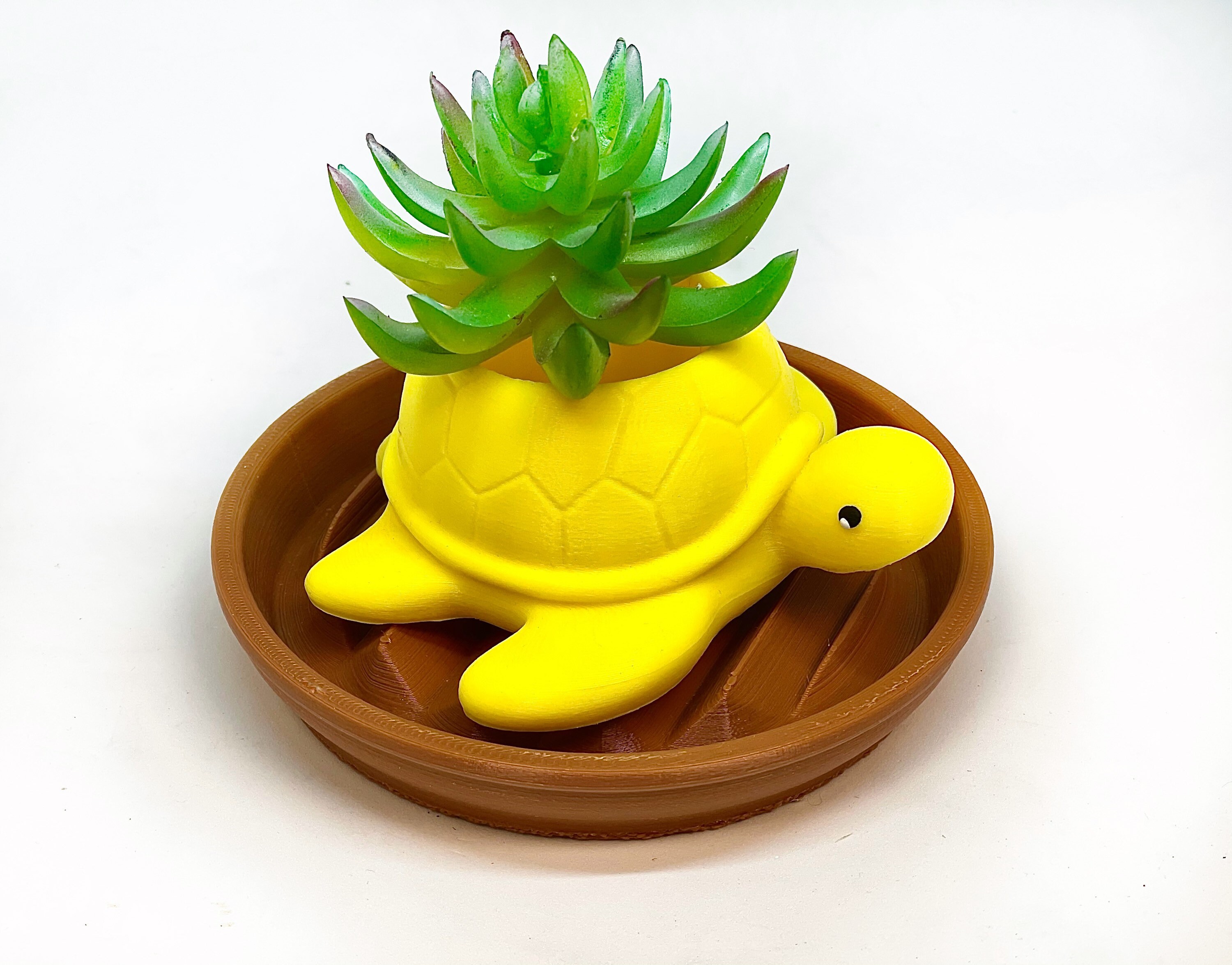 Turtle Planter Sea Turtle Planter Turtle Planter Pot Turtle - Etsy
