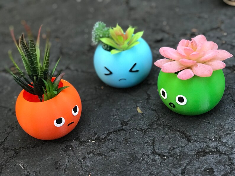 Puff Planter, Smiley Face, Father’s Day Gift, Surprised Face, Plant Dad ...