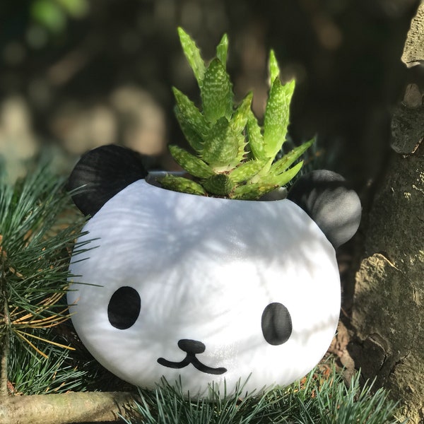 Panda Gifts - 60+ Gift Ideas for 2024