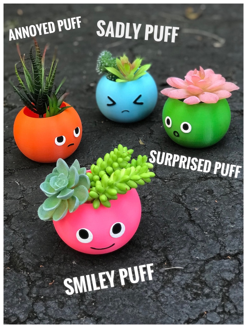 Puff Planter, Smiley Face, Father’s Day Gift, Surprised Face, Plant Dad, Birthday Gift, Annoyed ...